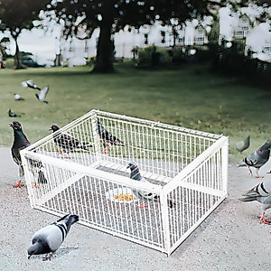 KUJIBGY Pigeon Trap with Escape-Proof Design Small Birds Live Hunting Trap Iron Cage with One-Way Entry Outdoor Patio Garden Farm Warehouse Humane Trap for Pigeon Sparrow Mouse Rabbit Chicken