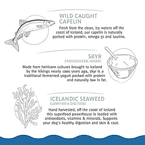 Icelandic+ Plus Chewy Jerky Bars Capelin, Skyr, & Seaweed Dog Treat 2.5-oz Bag