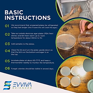 Evviva Sciences Potato Dextrose Agar Petri Dishes - Prepoured Potato Dextrose Agar (PDA) - for Mushrooms, Home Test Kit, or for Science Fair Projects, Petri Dishes with Agar