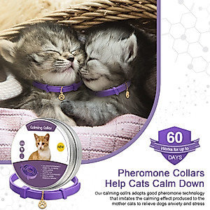 2 Pieces Calming Cat Collar Lavender Scent Relaxing Cat Collar Adjustable Longlasting Reduce Anxiety Cat Collar with Pendant for Puppy Cat Reduce Stress Aggression and Anxious Behavior, up to 15 Inch