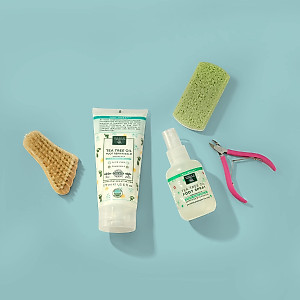 Earth Therapeutics Tea Tree Oil Foot Balm – Australian Tea Tree Oil w/Aloe Vera & Chamomile – Hydrates, Softens & Conditions Dry Cracked Feet, Heel and Calluses – Soothe Irritated Skin – 6 Ounces