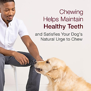 SmartBones SmartSticks, Treat Your Dog to a Rawhide-Free Chew Made With Real Chicken and Vegetables, 10 sticks