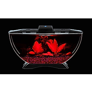 BettaTank 1-Gallon Deco Fish Tank with LED Lighting