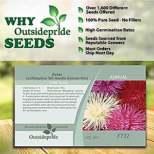 Outsidepride Aster Tall Needle Unicom Garden Cut Flower Seed Mix - 1000 Seeds