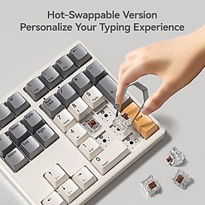 Mechanical Number Pad,34 Key Wired USB Numeric Keypad White Backlit Hot Swappable Numpad with PBT Keycaps for Laptop, MacBook,PC Desktop (Retro Beige,Brown Switch)