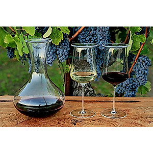 vinolid Wine Glass Cover - 4 Pack