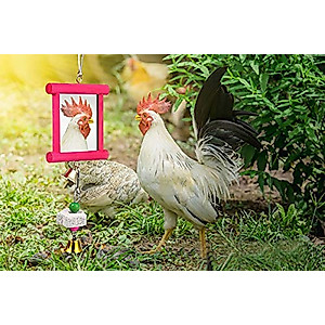 Vehomy 2Pcs Chicken Mirror Toys for Hens Hanging Swing Mirror Toys with Bells and Beak Grinding Molar Stones for Roosters Hens Birds Parrots (Yellow and Red)