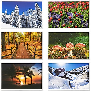 Best Paper Greetings 40 Pack Nature Postcards Bulk, Blank Travel Cards for Mailing, 20 Assorted Scenic Photos, Four Seasons (4x6 In)