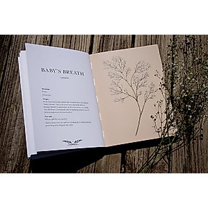 Floriography: An Illustrated Guide to the Victorian Language of Flowers (Volume 1) (Hidden Languages)