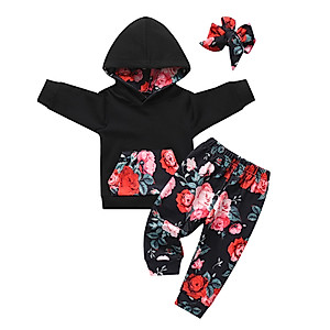 Derouetkia Infant Toddler Baby Girl Clothes Long Sleeve Floral Hoodie Sweatshirt Tops Pants and Headband Outfit Set (6-9 Months)