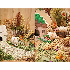 JFWOD Natural Hamster Bedding Flowers Herbs Sprays Treat Cereal Grain for Cage Habitat Enclosure Decor Hamster Chews for Dwarf Syrian Gerbils Mice Mouse Rat Forage Pet Hamster Accessories