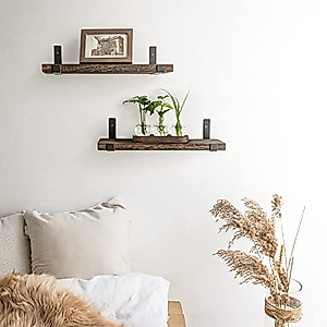 Mkono Desktop Plant Propagation Station Glass Planter Terrarium with Wooden Tray Bulb Flower Vase Perfect for Propagating Hydroponic Plants Home Office Decor Plant Lover Gift Idea