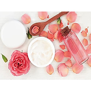 Axe Sickle 10 mL Cork Stopper Glass Bottles Mini Transparent Glass Bottles 48 Pcs.