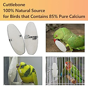 Jmxu's Cuttlebone for Birds, Natural Bird Calcium for Parakeet Cuddle Bone for Cockatiels Tortoise, 4.5 to 5.5 inch