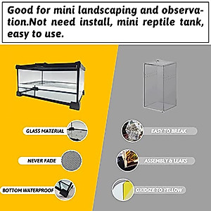 Mini Reptile Glass Terrarium Tank 7.9"x7.9"x5.7" Micro Habitat Terrarium Enclosure Amphibians Tank Cage Full View Visually Appealing for Small Reptiles, Amphibians, Spiders and Other Invertebrates