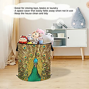 xigua Large Pop-Up Laundry Basket with Zipper Lid, Round Collapsible Storage Basket,Dirty Clothes Hamper for Bedroom, Beautiful Peacock