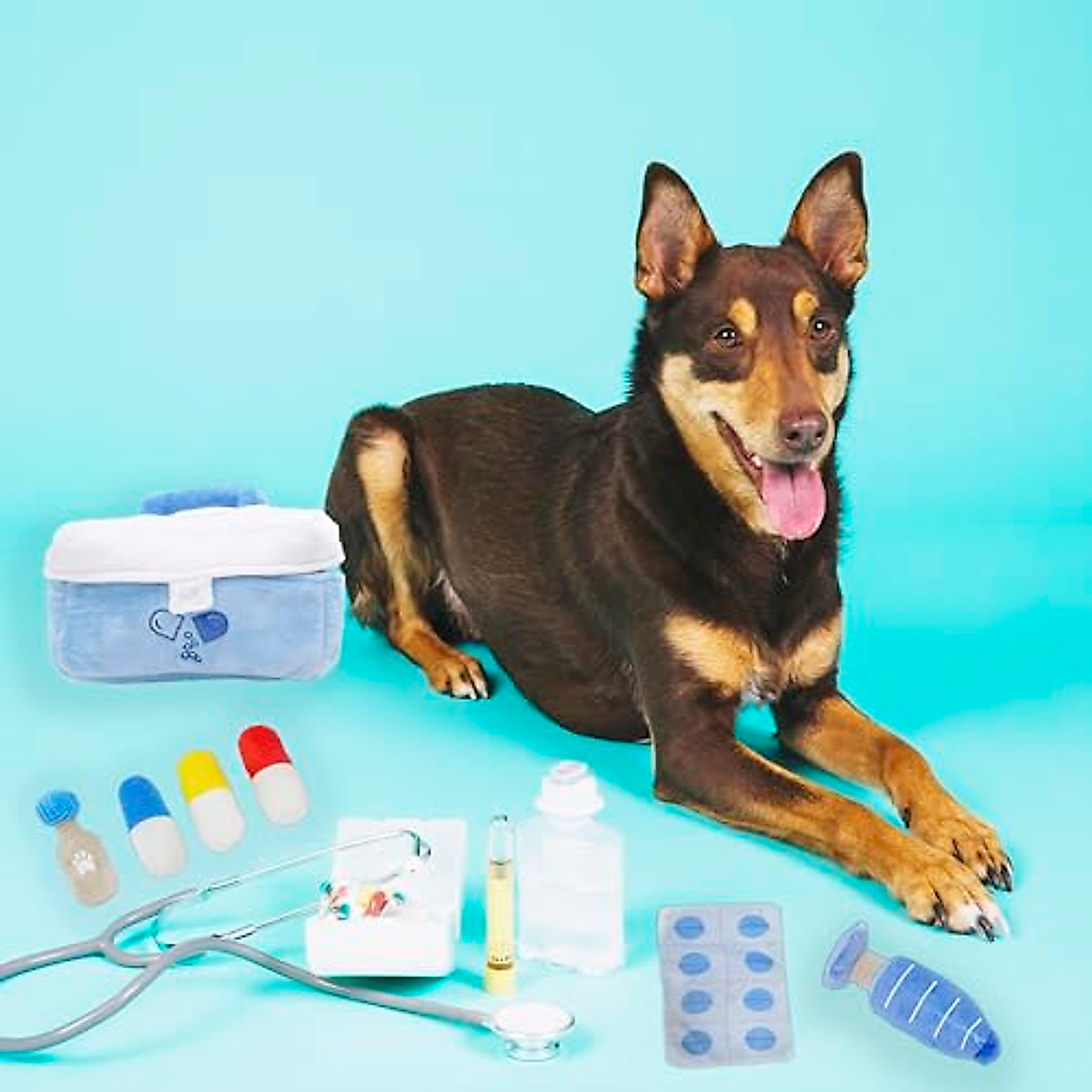 wowmolly Medicine Box Design Plush Chew Dog Toys Including Syringe 3 Pills Tablet Pill Potion Bottle Squeaky Interactive Custom Stuff Pet Toy for Small, Medium Dogs