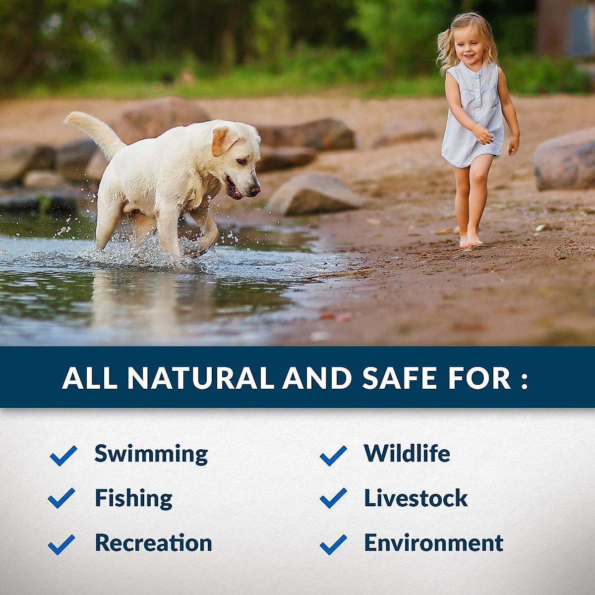 Airmax MuckAway, Natural Pond Muck Remover, Cleans & Clears Away Muck & Sludge, Easy to Use Bacteria & Enzyme Tablets, Safe for The Environment, Treats 1,500 Sq Ft, 6 Month Supply, 16 Scoops, 8 lbs