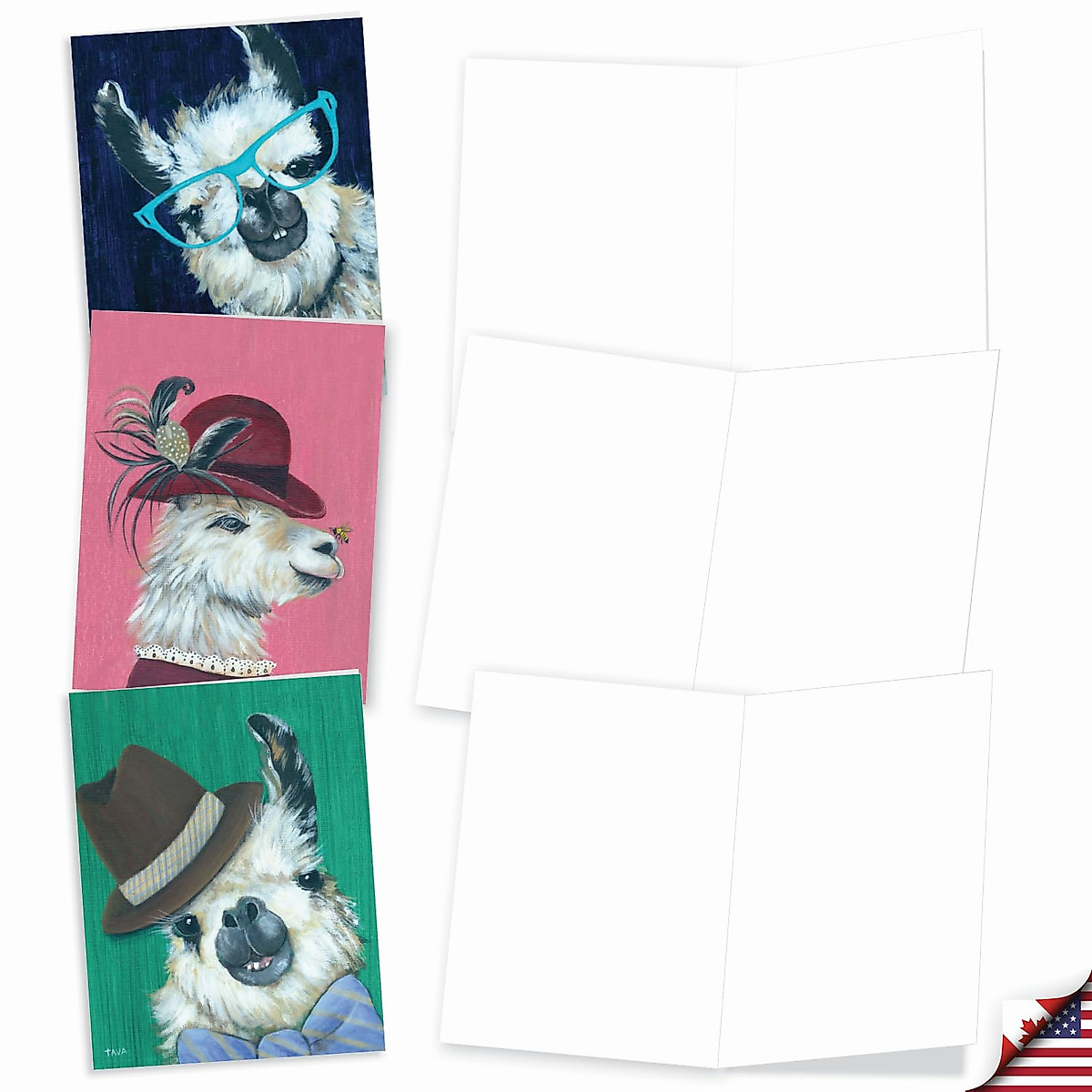 The Best Card Company Assorted Blank Greeting Card Box Set - Incl. 20 Cards + Envelopes - 10 Unique Designs - Perfect for Thank Yous, Invitations, More - Personality Llamas AM7036OCB-B2x10-NB