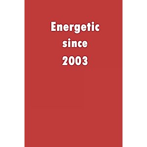 Energetic since 2003: A good notebook gift for who's born in 2003, blank lined notebook journal - 120 pages - 6 x 9 inches