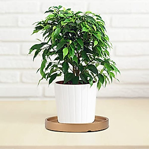 HANABASS Round Pallet Flowerpot Tray 2pcs Gardening Potted Plant Trays Cement Flowerpot Trays Flower Pot Mats Balcony Succulent Pot Trays for Home Kitchen Gold Flower Pot Saucer Bonsai Water Trays