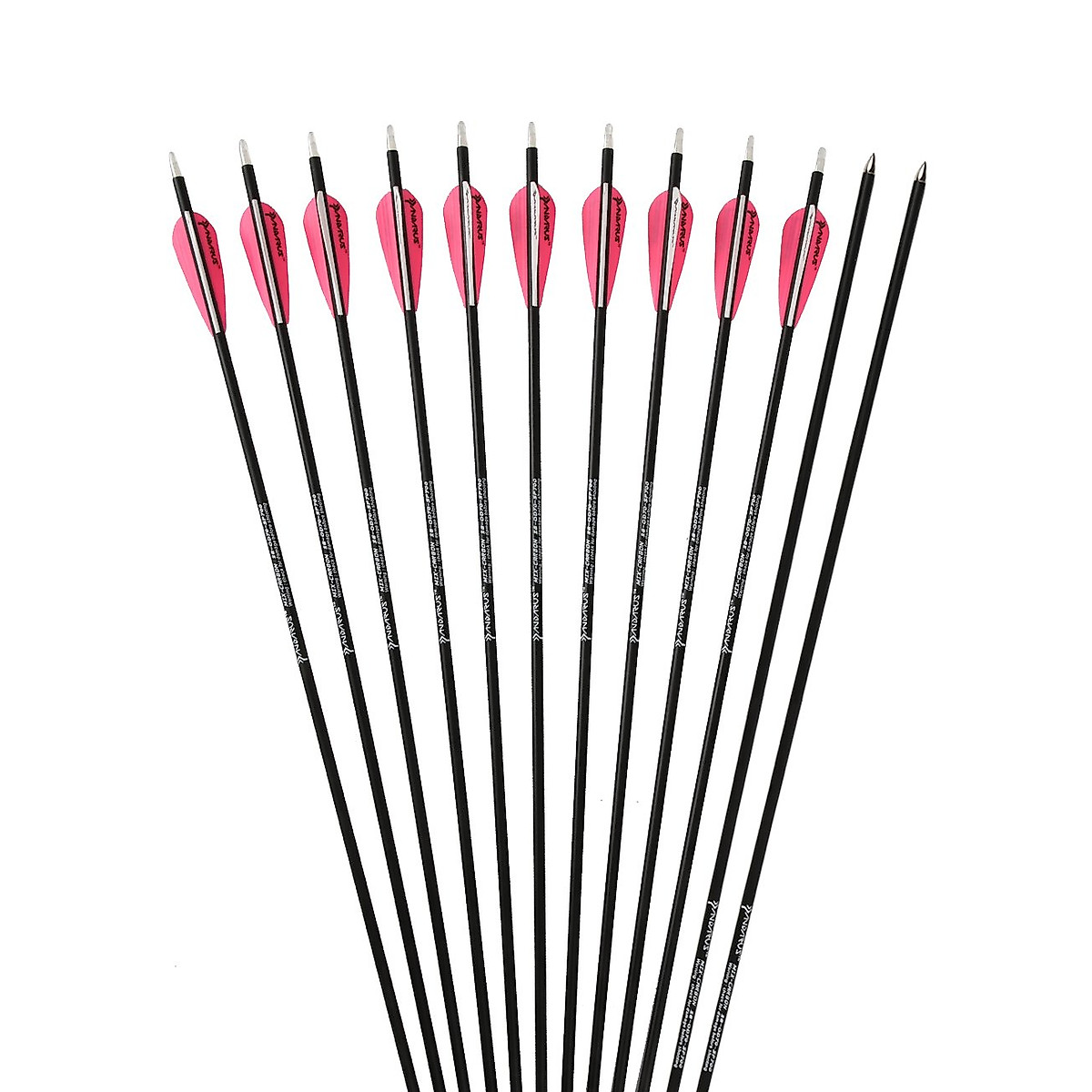 PANDARUS Archery Carbon Arrows 28-Inch Safety Beginner's Target Practice for Compound & Recuve Bow - (Pack of 12) Pink