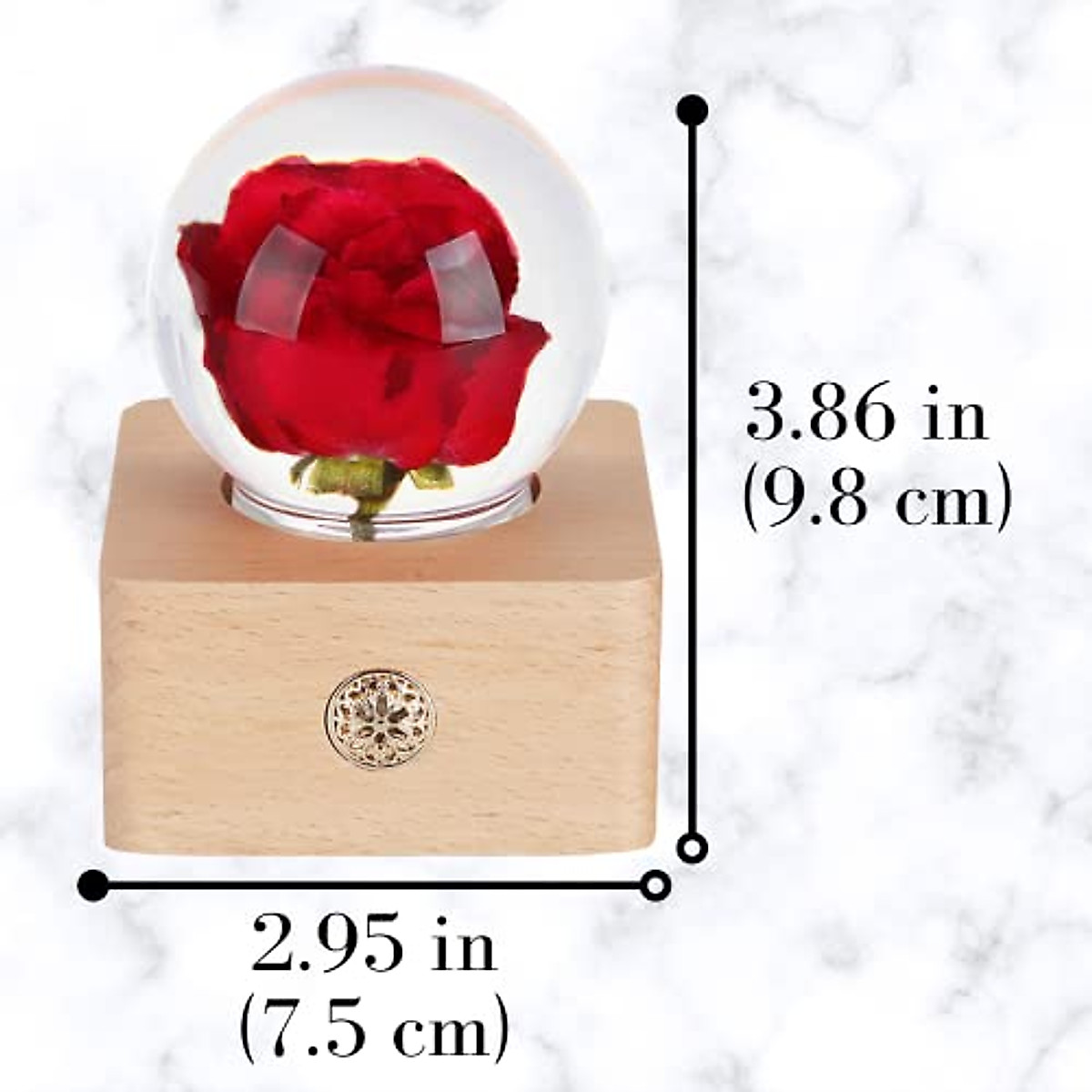 Ellington Gifts Real Preserved Flower Glass Ball Night Light | Dimmable Battery LED, Real Eternal Flowers, Birthday Gifts for Women Mom Girlfriend, Special Anniversary, Valentine's Day (Red Rose)