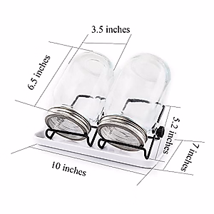 C CRYSTAL LEMON Sprouting Jar Kit – Sprouts Growing Kit with 32oz Glass Sprouting Jars with Screen Lids, Jar Stands, Drip Tray – Indoor Grow Kit for Alfalfa, Beans, Broccoli, Microgreens