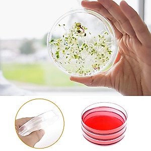 30 Pack Plastic Petri Dishes with Lids,90 x 15mm Bioresearch Sterile Petri Dish,Culture Dishes for School Science Projects,Seeding,Storage,Biological Themed Party