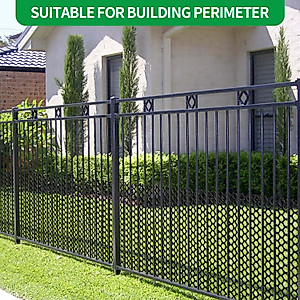 Senershuo Chicken Wire mesh 15.7IN x 10FT Black Plastic mesh Sheet Plant Fence Barrier Chicken Wire Fence Mesh Hexagonal Poultry Mesh Netting Garden Fencing Cat Fencing and Bird Netting