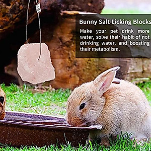 BNOSDM 12 Pack Small Animals Himalayan Salt Licks Set, 6 Rabbit Mineral Salt Blocks and 4 Hamster Teeth Grinding Stones Natural Bunny Chew Treat Toys for Rats Guinea Pigs Ferrets Chinchillas