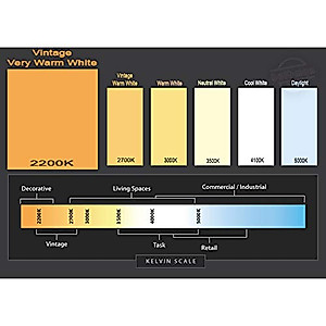 SATCO S2423 60W 120V Vintage Style ST19 Incandescent Bulb, 6-Pack of 60 Watt Edison Style Light Bulbs for use in Your Home, Office, Vanity, or Any Other Vintage Light Inspired Space in Your Household