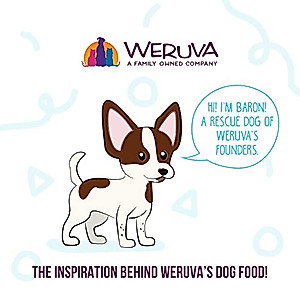 Weruva Dog Meals 'n More Natural Wet Dog Food, Woof Woof Floof! Skin & Coat Health Variety Pack, 3.5oz Cup (Pack of 10)