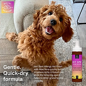 Hot Spot Treatment for Dogs - Anti Itch Foam Spray with Aloe Vera - Veterinarian Formulated Hotspot Formula - Quick-Dry Foam Eliminates Use for Cream & Gels - Made in USA