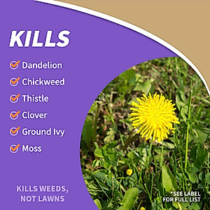 Bonide Captain Jack's Lawnweed Brew, 32 oz Ready-to-Use Spray, Fast-Acting Formula Controls Weeds, Moss, Algae, Lichens & Disease