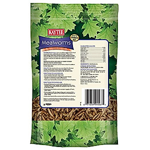 Kaytee Wild Bird Food Mealworms For Bluebirds, Wrens, Robins, Chickadees, Woodpeckers, Cardinals & Chickens, 3.5 Ounce