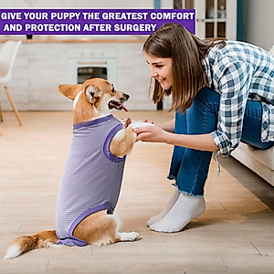 Uadonile Dog Surgery Recovery Suit, Surgical Recovery Suit for Dog Male Female, Spay Neuter Dog Recovery Suit, Cone Alternative Dog Surgical Onesie Purple, Medium