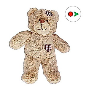 Record Your Own Plush 8 Inch Brown Patches Teddy Bear - Ready 2 Love in a Few Easy Steps