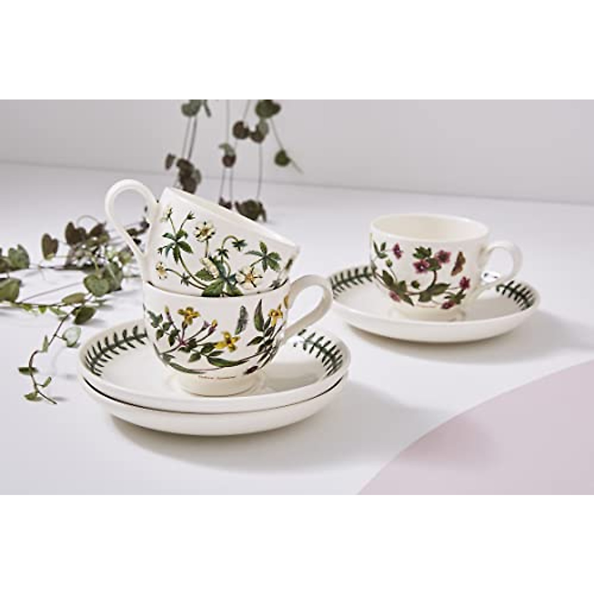 Portmeirion Botanic Garden Set of 6 Teacups & Saucers (T) (Assorted Motifs)