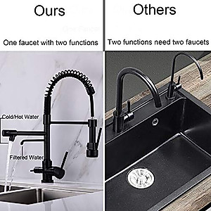 Delle Rosa Kitchen Faucet, 3 Way Drinking Water Faucet, 3 in 1 Water Purifier Faucets, High Arc and Dual Handles Commercial Kitchen Faucet Brushed Gold