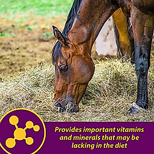 Horse Health Red Cell Pellets, Vitamin-Iron-Mineral Supplement for Horses, Helps Fill Important Nutritional Gaps in Horse's Diet, 4 lbs., 64-Day Supply
