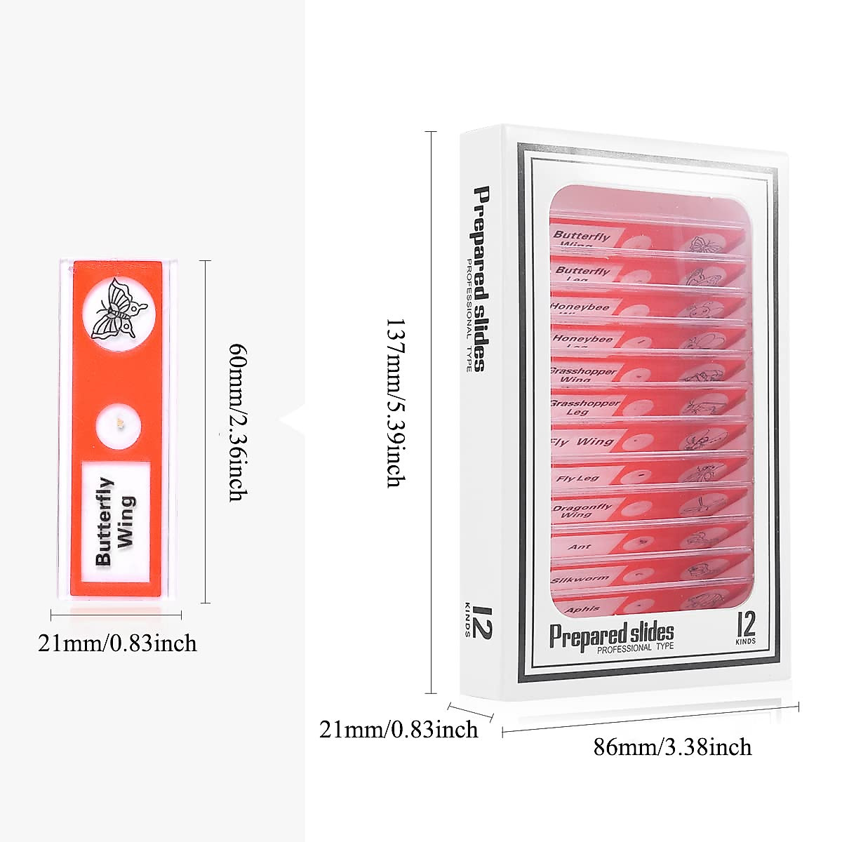 Plastic Prepared Microscope Slides for Kids, Cainda 48pcs Animals Insects Plants Flowers Sample Microscope Slides with Specimens for Students Adult Biology Science Programs