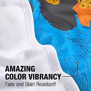 LOGOVISION Sesame Street Lightweight Baby Blanket, 30"X40", More Cookies Unisex for Infants Girls & Boys