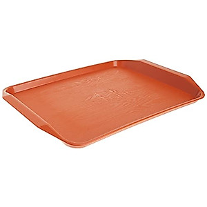 Traeger Pellet Grills BAC426 BBQ Tray Grill Accessories