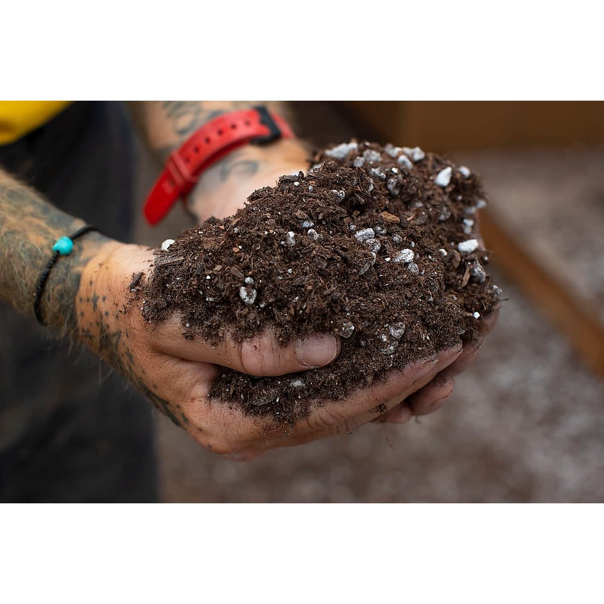 IvyMay Dunes Succulent Soil ― Organic Cactus Soil Potting Mix for Succulents, Ready to Use Potting Soil Indoor Plants with Perlite, Pumice, Earthworm Castings, Essential Oils ― 5 qt
