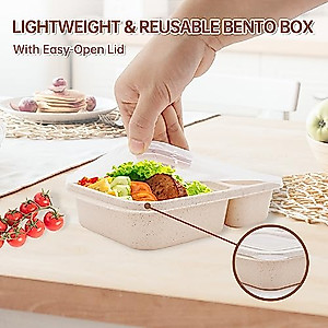 Luriseminger 4 Pack Bento Lunch Box，2 Compartment Snack Containers，Meal Prep Containers Kids/Toddle/Adults,Food Storage Containers for School, Work and Travel (2 Compartment-Multicolor)