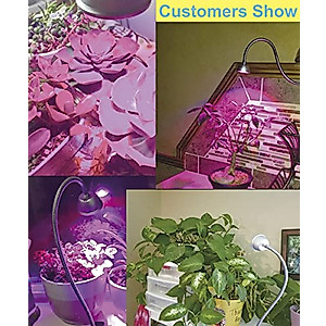 Aceple LED Small Grow Light, 6W Desk Plant Grow Light with Flexible Gooseneck Arms and Spring Clamp for Hydroponic Indoor Planting, Potted Plants, Garden Greenhouse