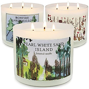 3 Wick Scented Candles Gifts for Women, 3 Pack 13.4 Oz Large Candles for Home Scented, Soy Wax Long Lasting in Total 225 Hours Jar Candles for Birthday, Mother's Day, Anniversary, Thanksgiving