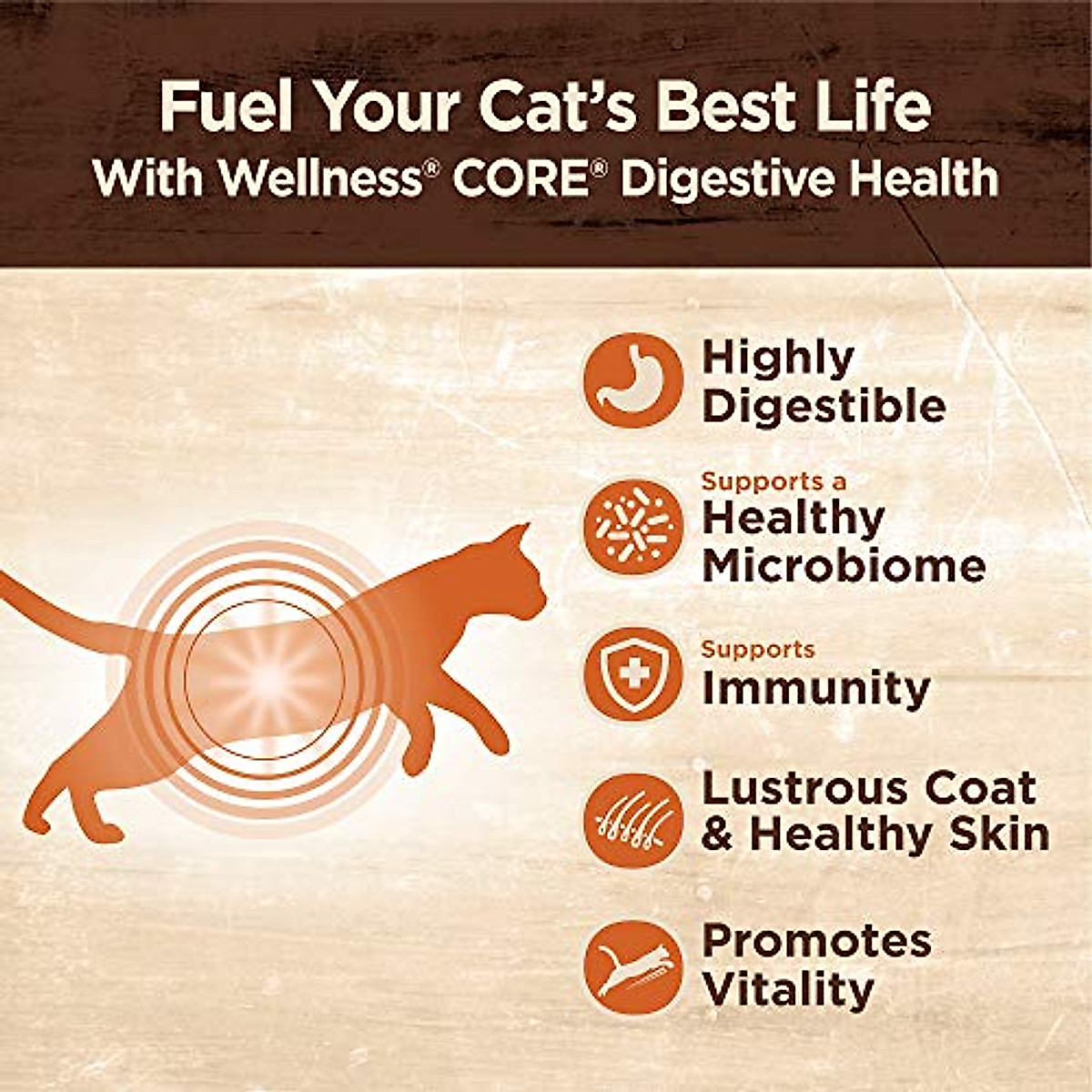 Wellness CORE Digestive Health Salmon & Rice Dry Cat Food, 5 Pound Bag