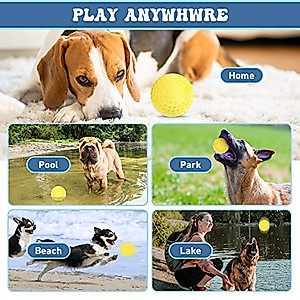 TAUCHGOE Interactive Dog Balls, Dog Toys for Boredom and Stimulating, Dog Toys for Aggressive Chewers, Safer for Dog's Mouths, for Large Medium Small Puppy, Training Catch & Fetch